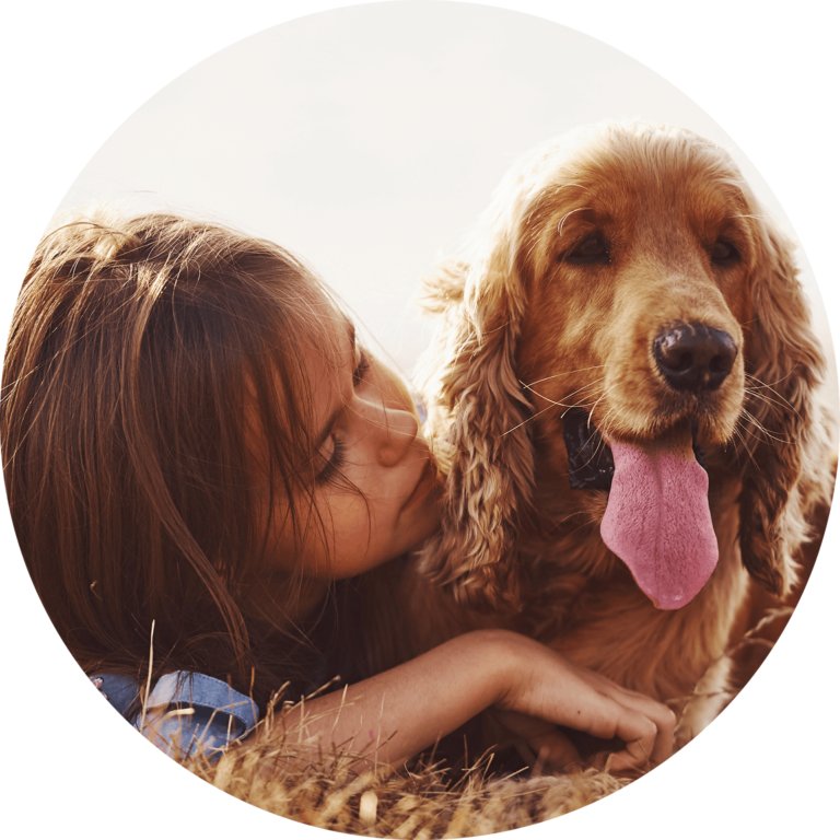 Animal Communication - Animal Communication Method