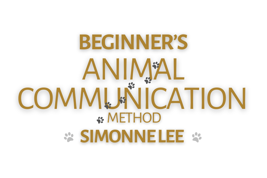 Animal Communication for Beginners - Animal Communication Method