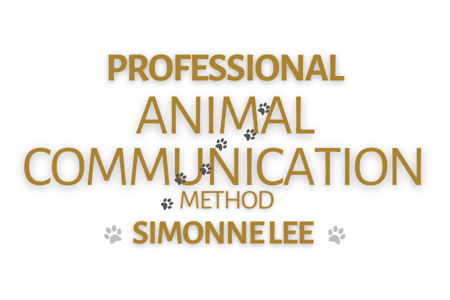 Animal Communication - Animal Communication Method